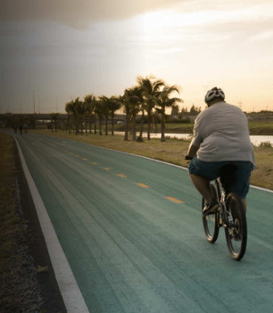 Recognising obesity as a disease, a C20 panel discussion - Prohealth365